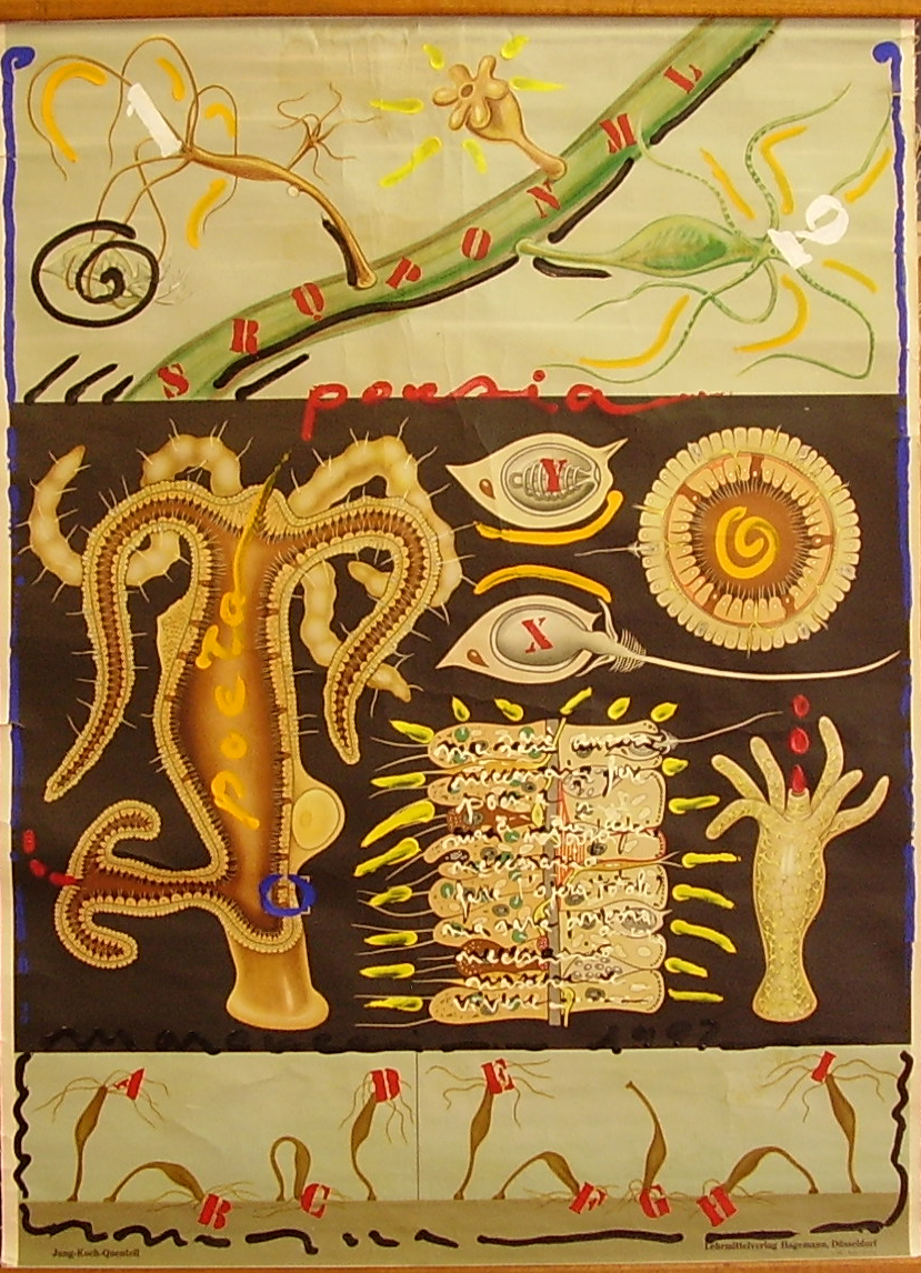 Ma sarà ancora necessario… | LUCIA MARCUCCI